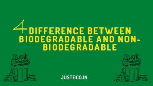 What Are the harmful Effects of Non-Biodegradable Waste